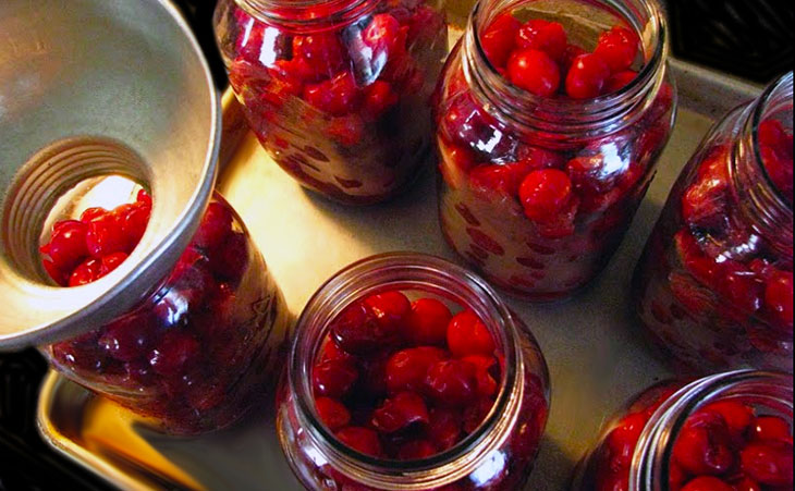 Canning & Freezing Sweet Cherries - Stark Bro's