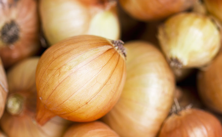 Planting & Growing Shallots - Stark Bro's