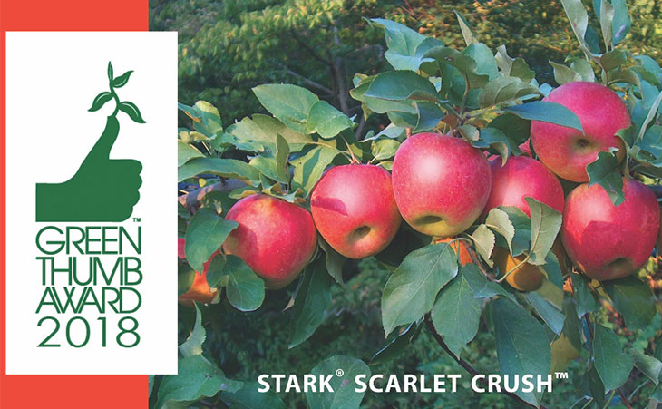 Search Results for "apples" - Stark Bro's