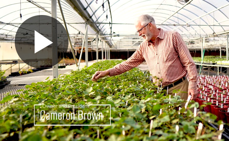 Search Results for "order" - Stark Bro's