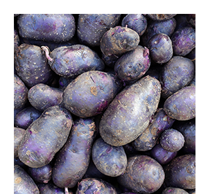 Planting Seed Potatoes in 7 Simple Steps – With Video - Stark Bro's