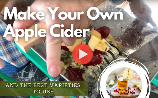 How to Make Apple Cider -With Video - Stark Bro's