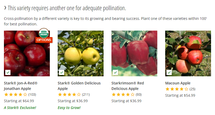 Adding Fruit to Your Homestead - Stark Bro's