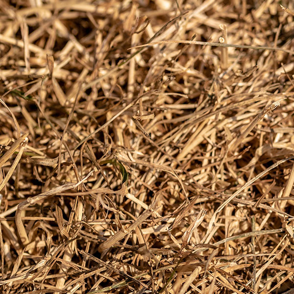 Organic Mulches - Stark Bro's