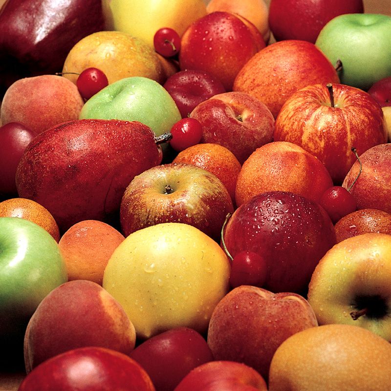 Best of Everything Fruit Tree Assortment - Stark Bro's