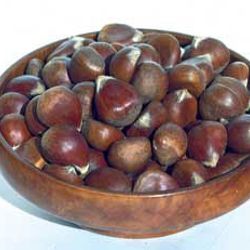 Chinese Chestnut Trees - Chestnut Trees - Stark Bro's