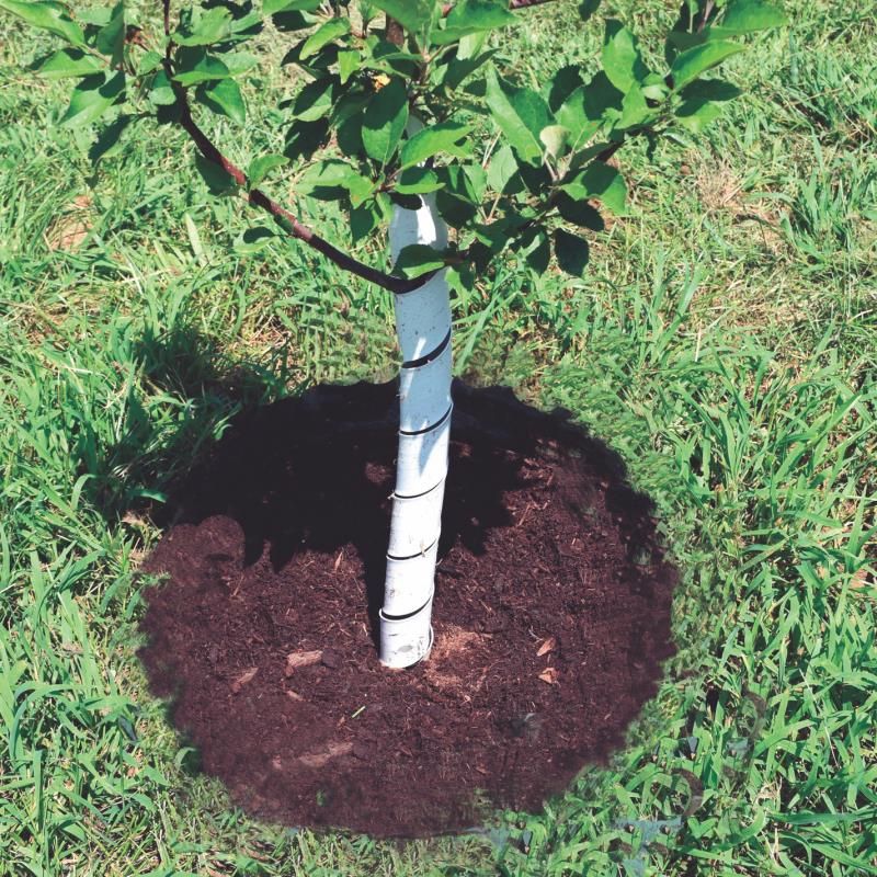 Stark® Tree Guards - Stark Bro’s