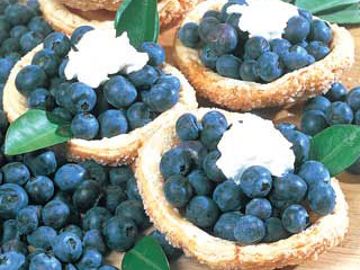 Rabbiteye Blueberry Collection - Blueberry Plants - Stark Bro's