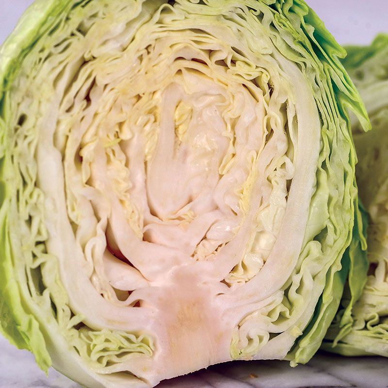 Golden Acre Cabbage Seeds - Stark Bro's