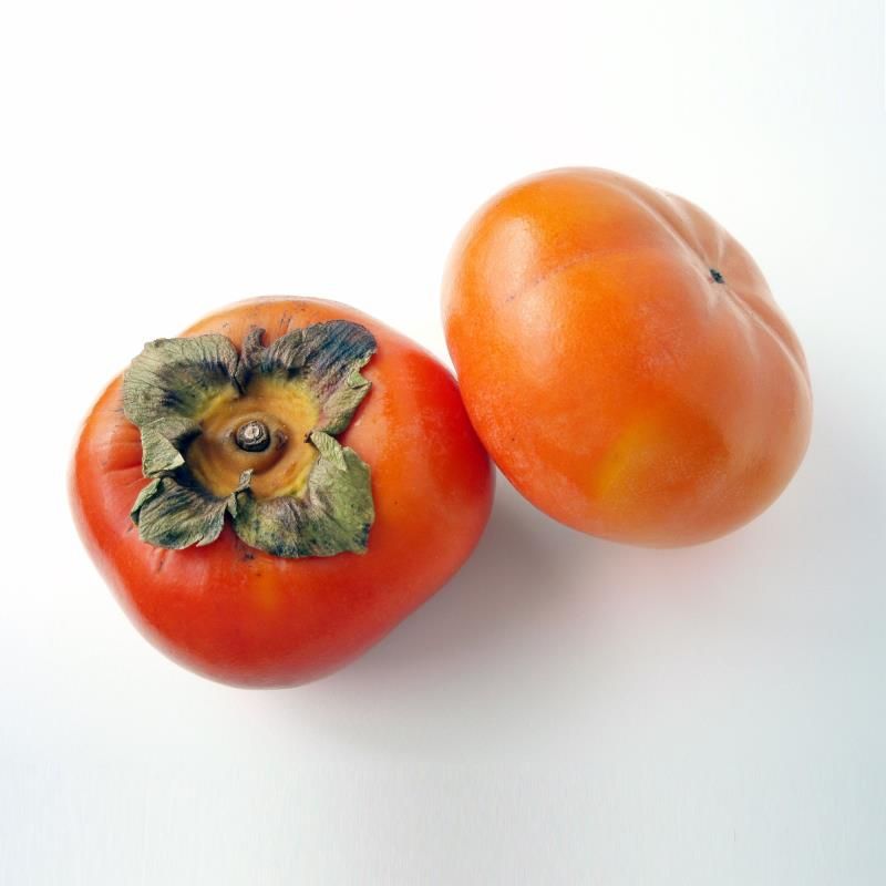 Jiro Asian Persimmon Tree - Stark Bro’s