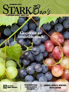 Stark Bro's Nurseries & Orchards Co - Since 1816