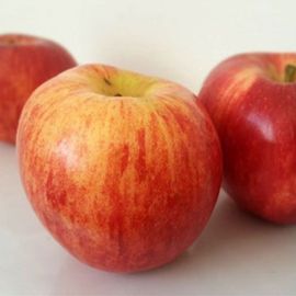 York Imperial Apple - Apple Trees - Stark Bro’s