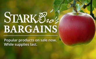 Stark Bro's Nurseries & Orchards Co - Since 1816