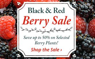 Stark Bro's Nurseries & Orchards Co - Since 1816