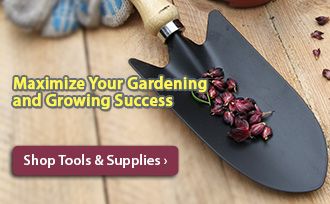 Stark Bro's Nurseries & Orchards Co - Since 1816