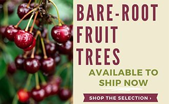 Stark Bro's Nurseries & Orchards Co - Since 1816
