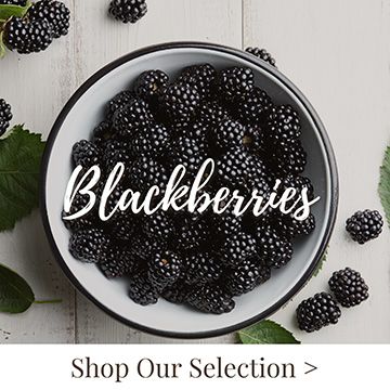 Stark Bro's Nurseries & Orchards Co - Since 1816