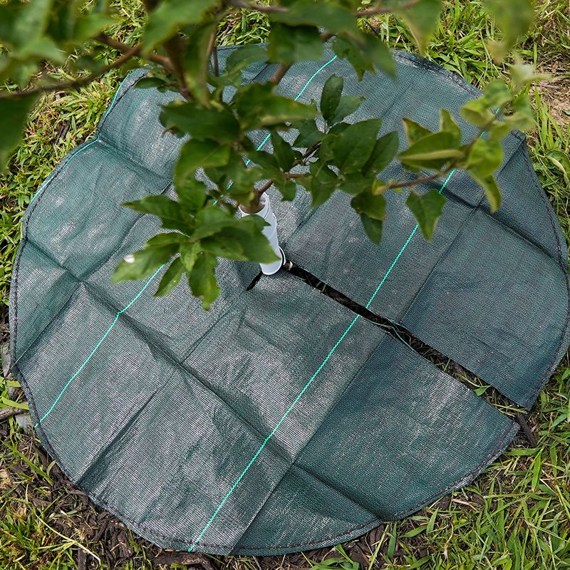Tree Circle S Weed Barriers