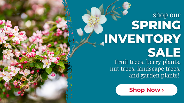 Stark Bro's Nurseries & Orchards Co - Since 1816