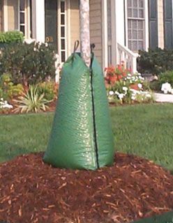 Treegator® 20 Gallon - Stark Bro’s