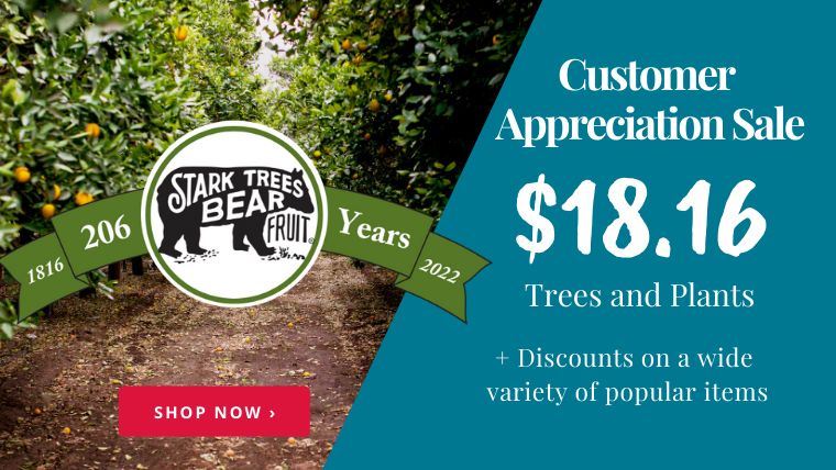 Stark Bro's Nurseries & Orchards Co - Since 1816