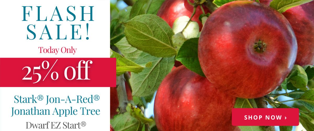 Stark Bro's Nurseries & Orchards Co - Since 1816