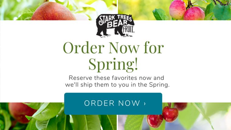 Stark Bro's Nurseries & Orchards Co - Since 1816
