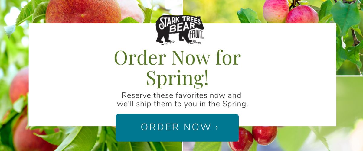 Stark Bro's Nurseries & Orchards Co - Since 1816