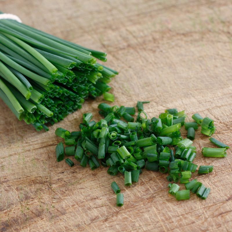 Garlic Certified Organic Chives - Stark Bro’s