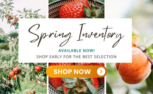 Stark Bro's Nurseries & Orchards Co - Since 1816