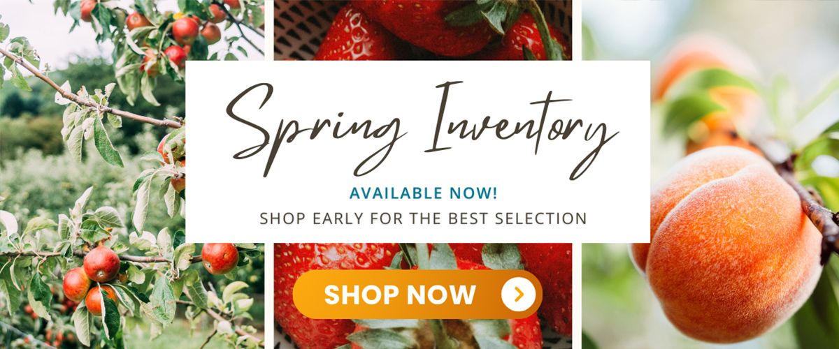 Stark Bro's Nurseries & Orchards Co - Since 1816