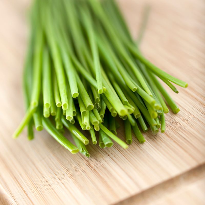 Onion Certified Organic Chives - Stark Bro’s