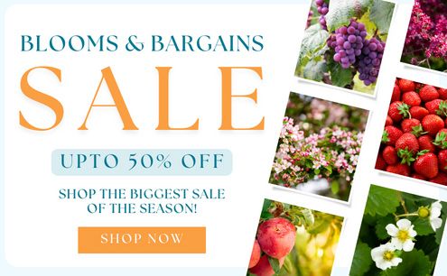 Stark Bro's Nurseries & Orchards Co - Since 1816