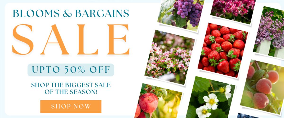 Stark Bro's Nurseries & Orchards Co - Since 1816