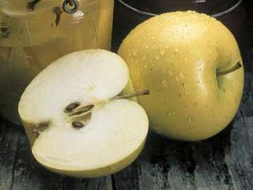 Grimes Golden Apple - Apple Trees - Stark Bro’s