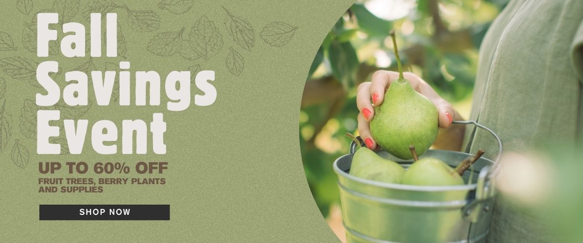 Stark Bro's Nurseries & Orchards Co - Since 1816