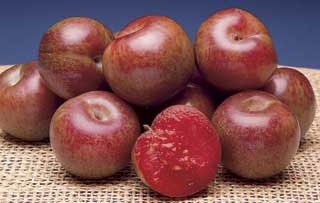 Flavor Supreme Pluot® Tree - Stark Bro’s