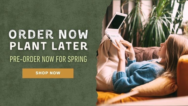 Stark Bro's Nurseries & Orchards Co - Since 1816