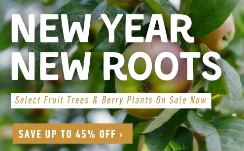 Stark Bro's Nurseries & Orchards Co - Since 1816