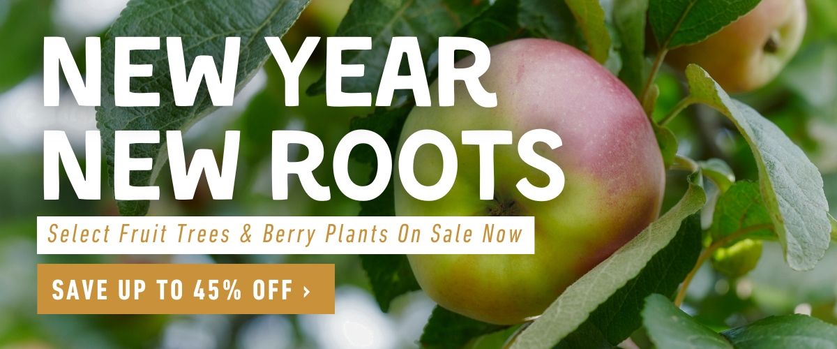 Stark Bro's Nurseries & Orchards Co - Since 1816