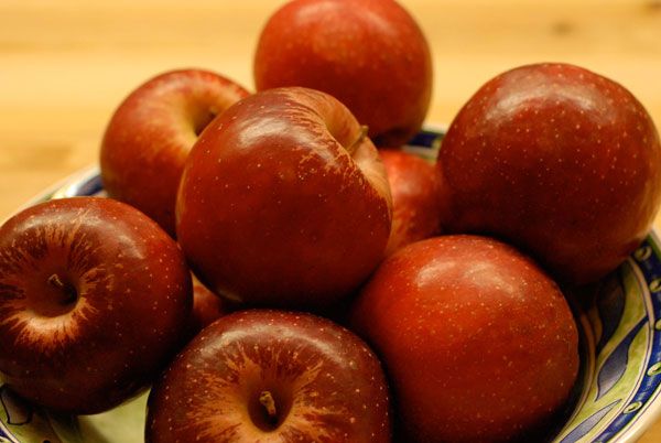 Cinnamon Spice Apple Tree - Stark Bro’s