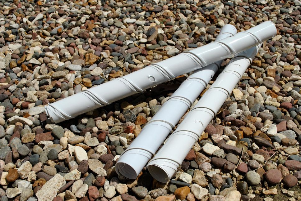 Protect Your Tree Trunks with Tree Guards - Stark Bro's