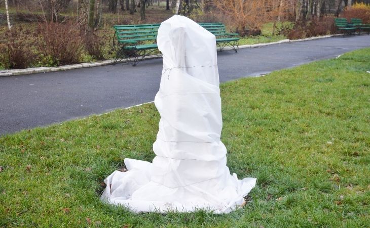 Protecting Fruit Trees From Frost Damage - Stark Bro's