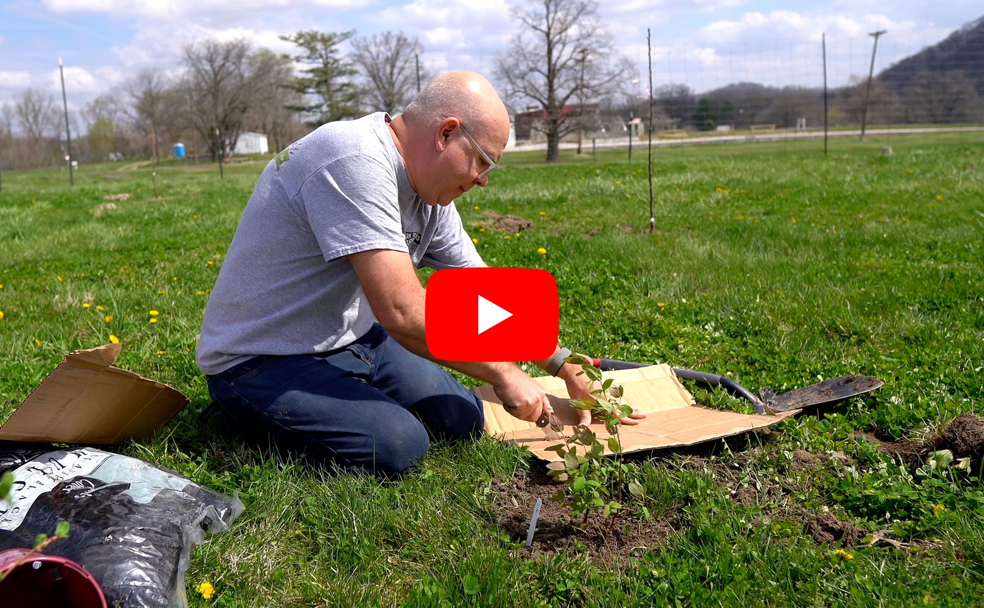 Eco-Friendly Garden: Cardboard Box Weed Control - Stark Bro's