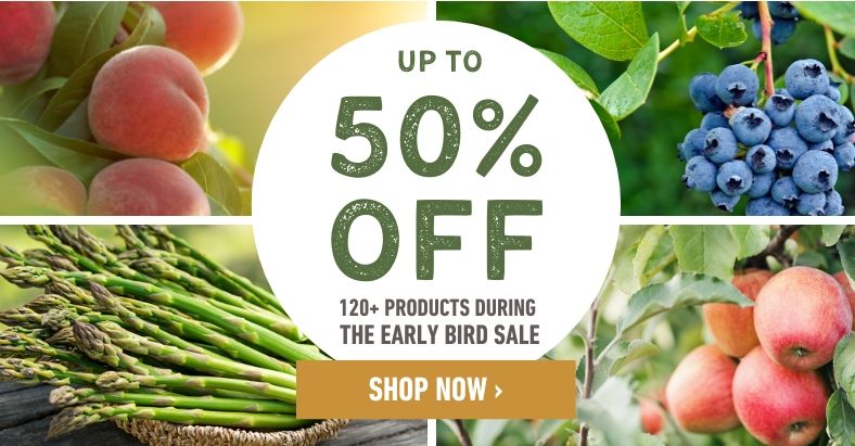Stark Bro's Nurseries & Orchards Co - Since 1816